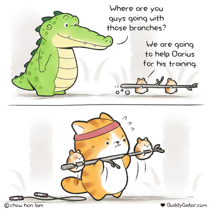 Buddy Gator - Training Partners - 9GAG