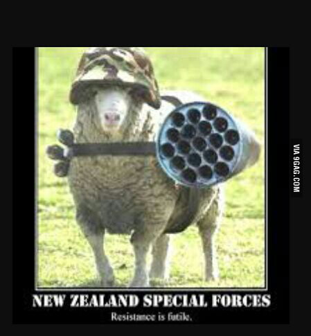 Army Special Forces Meme 🔥 25+ Best Memes About Special Forces