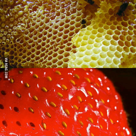 Fear Of Holes And Patterns