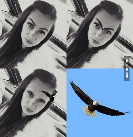 Eagle Eyebrow Memes Charlie Cox And Vincent D'Onofrio Answer Fan