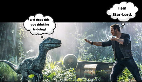 60 Random Memes For Today 259 Funnyfoto Jurassic World Jurassic