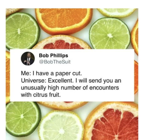 Best Funny tangerine Memes - 9GAG