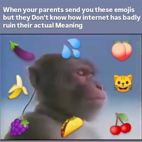 Monkey Wtf Memes