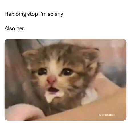 Best Funny shy Memes - 9GAG