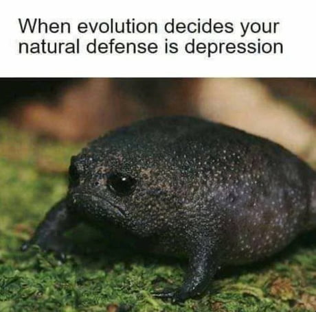 Evolution Stahp Memes