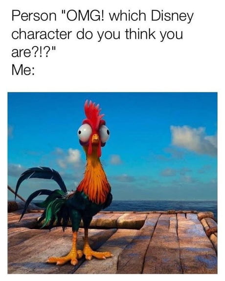Best Funny spirit animal Memes - 9GAG