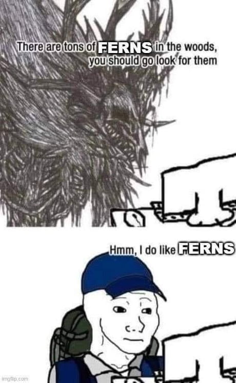 Best Funny ferns Memes - 9GAG