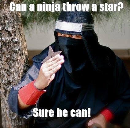 Ninja Fight Memes