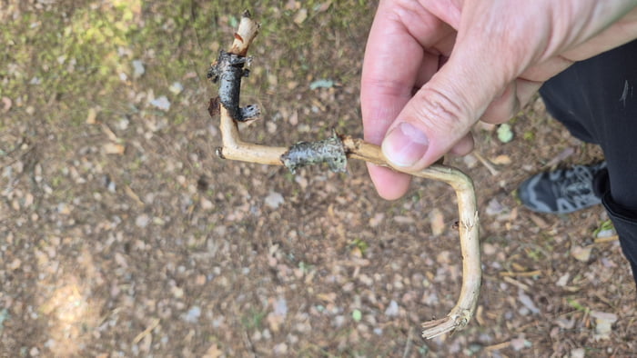 I hope I can find another stick like this - 9GAG