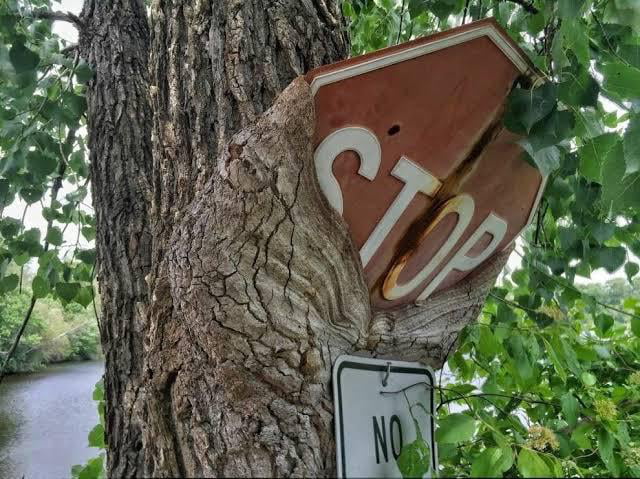 This stop sign is begging for mercy. - 9GAG