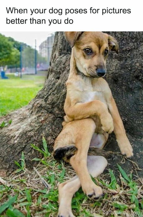 Best Funny handsome Memes - 9GAG