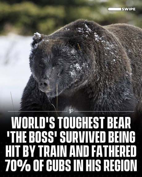 Best Funny sigma Memes - 9GAG