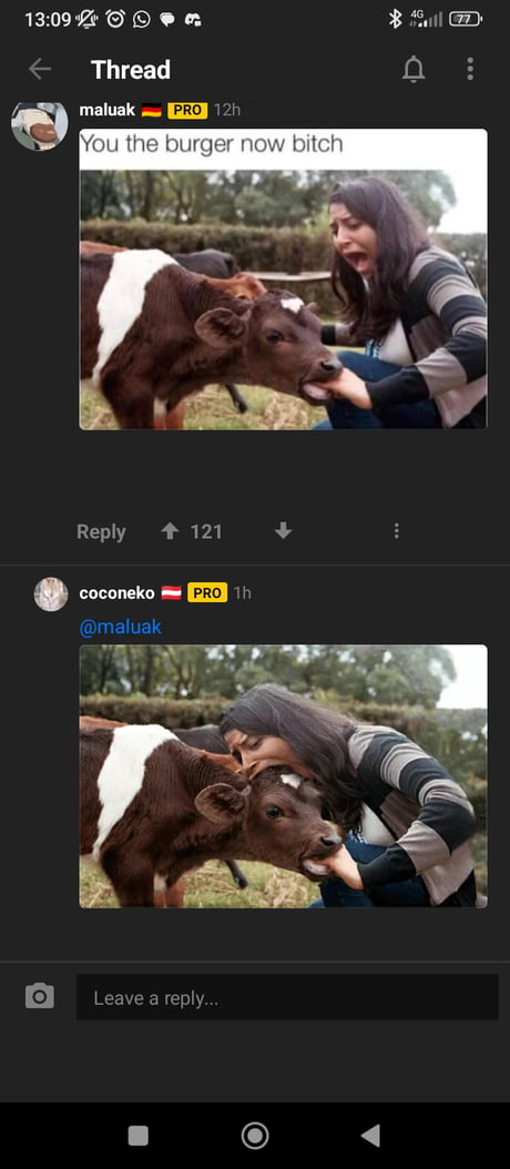 Best Funny moo Memes - 9GAG