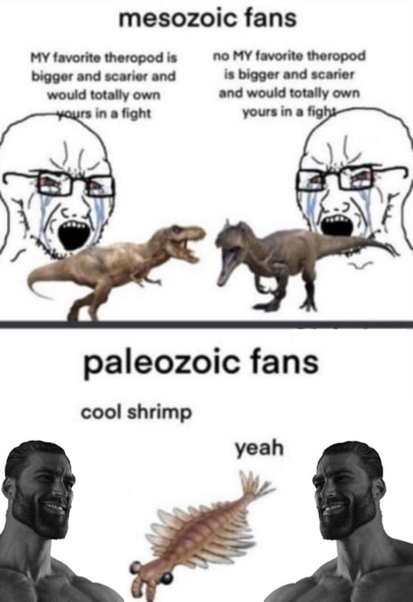 Best Funny shrimp Memes - 9GAG