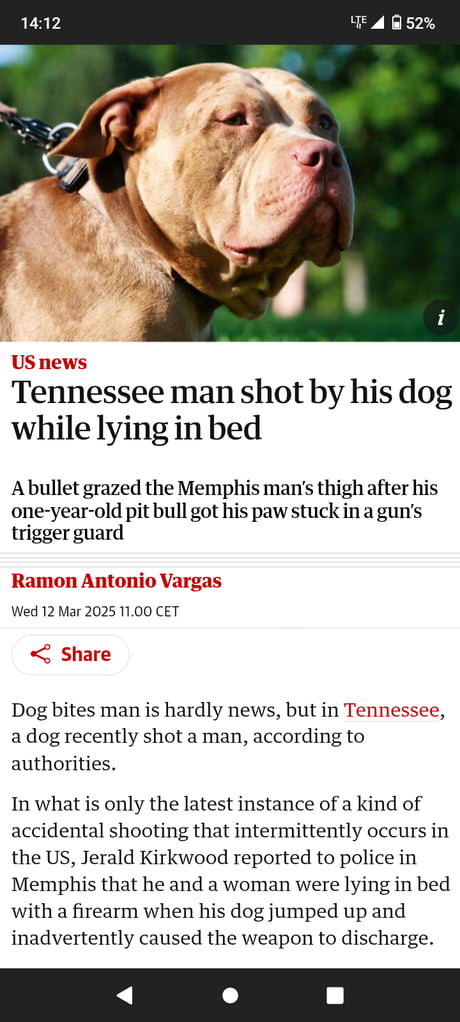 Grappige Pitbull Memes
