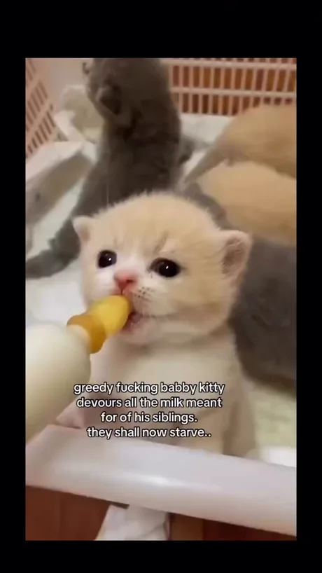Greedy Memes