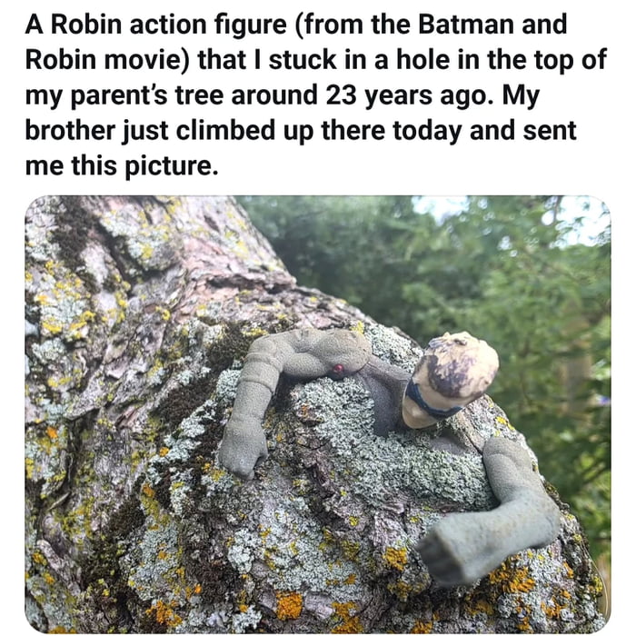 Robin's long lost brother - 9GAG