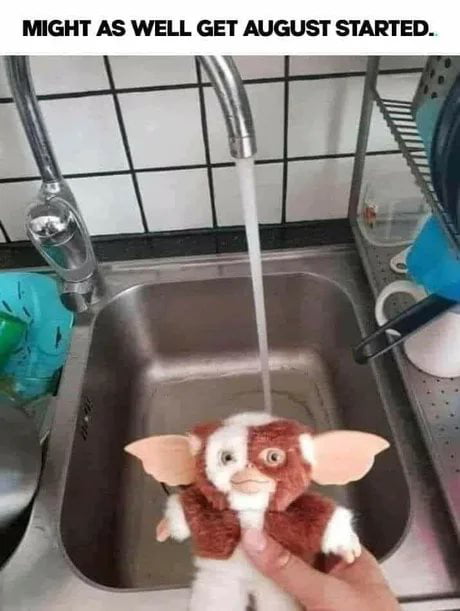 Best Funny gremlins Memes - 9GAG