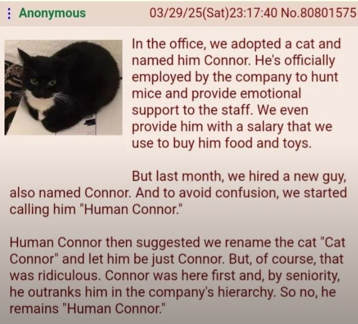Human Connor needs to shut up - 9GAG