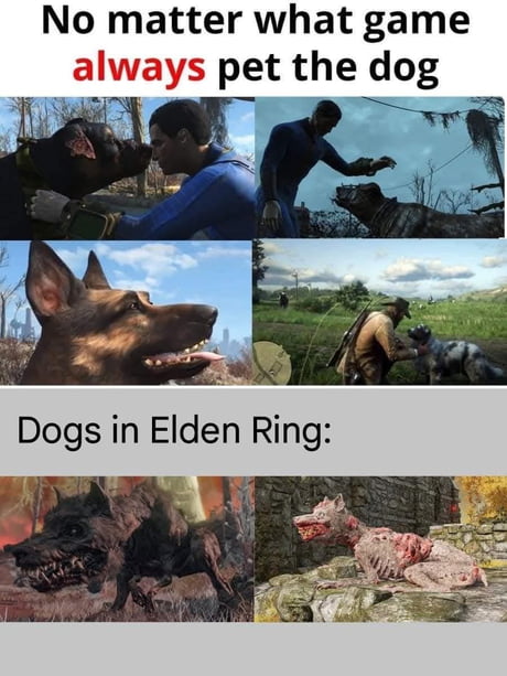 Funny Elden Ring Memes - 9GAG