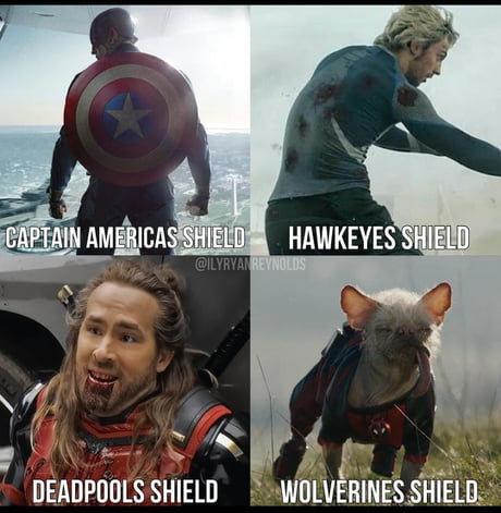 Captain America Shield Memes What Exactly Is A