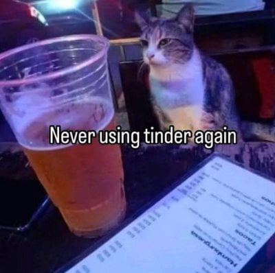 Best Funny catfish Memes - 9GAG