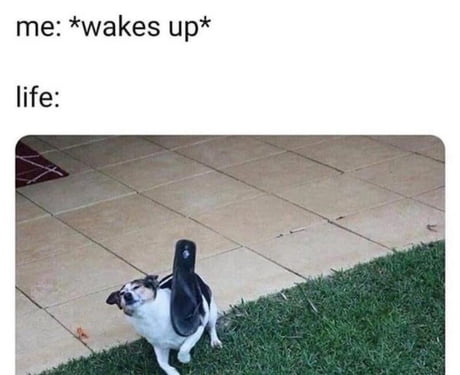 Best Funny slipper Memes - 9GAG