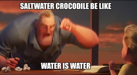 Best Funny crocodile Memes - 9GAG