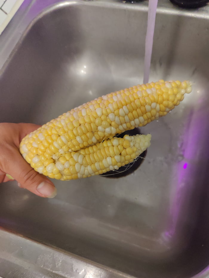 About to put Adam and Eve out of business with this corn - 9GAG