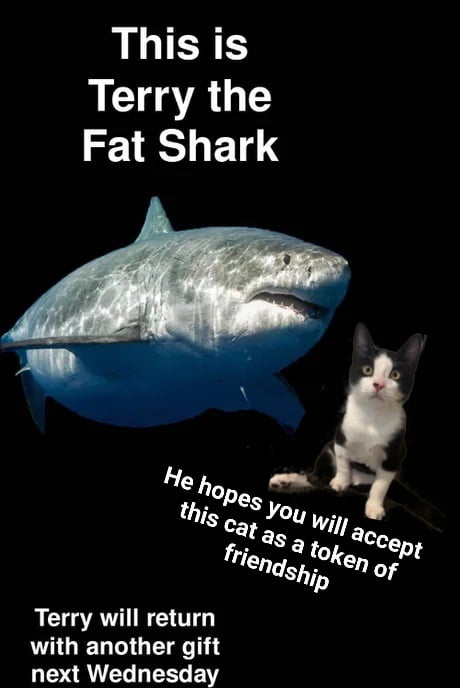 Best Funny terry Memes - 9GAG