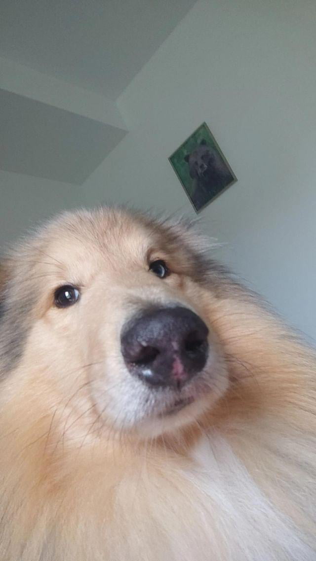 Is bro trying to rizz me - 9GAG