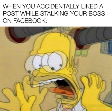 Memes Panic