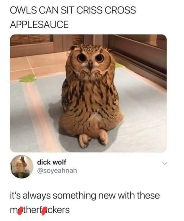 They really amaze me lol - 9GAG