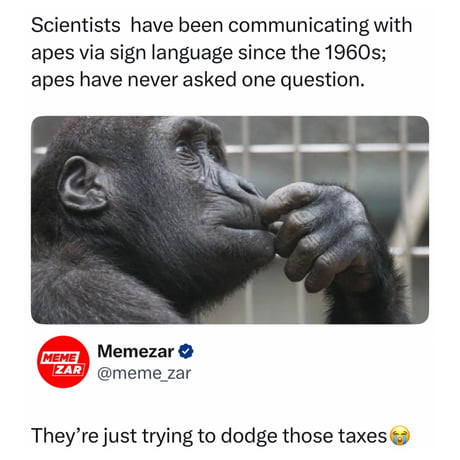 Best Funny sign language laughs Memes - 9GAG