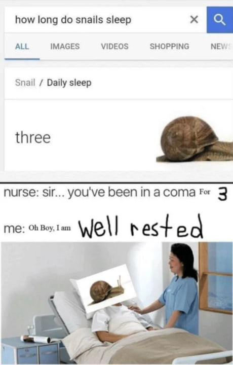 Best Funny snail Memes - 9GAG