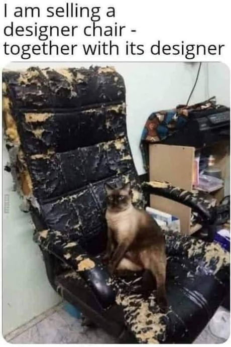 Best Funny chair Memes - 9GAG