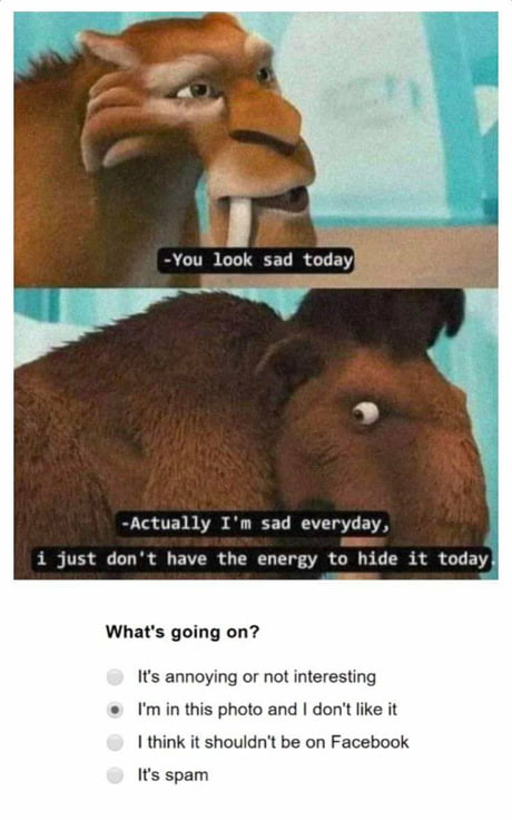 manpigbear - 9GAG