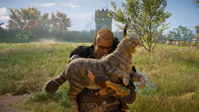 Assassin’s Creed Valhalla’s Cats Are Incredibly Huge - 9GAG