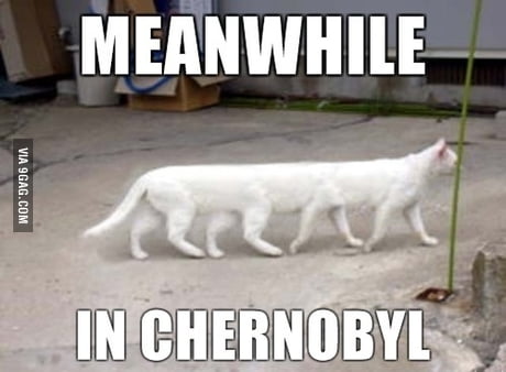 Meanwhile In Chernobyl Meme