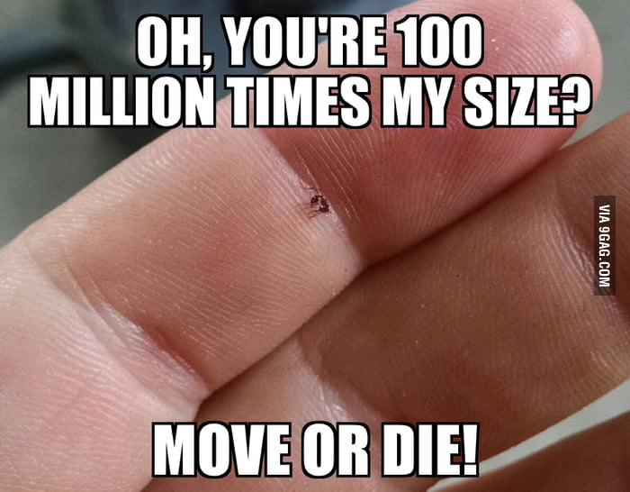 Fire ants - 9GAG