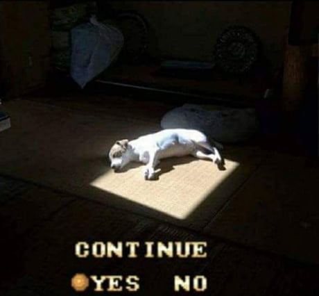 Insert Coin Memes Stream Sorry From Meme | Listen To Superflat