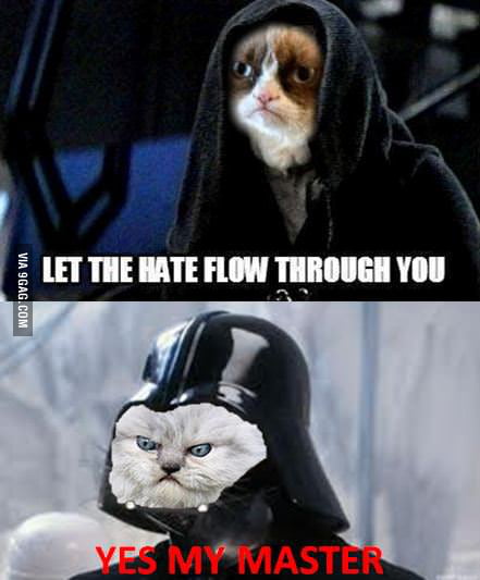 Master Apprentice Memes The Best Electrician Memes :) Memedroid