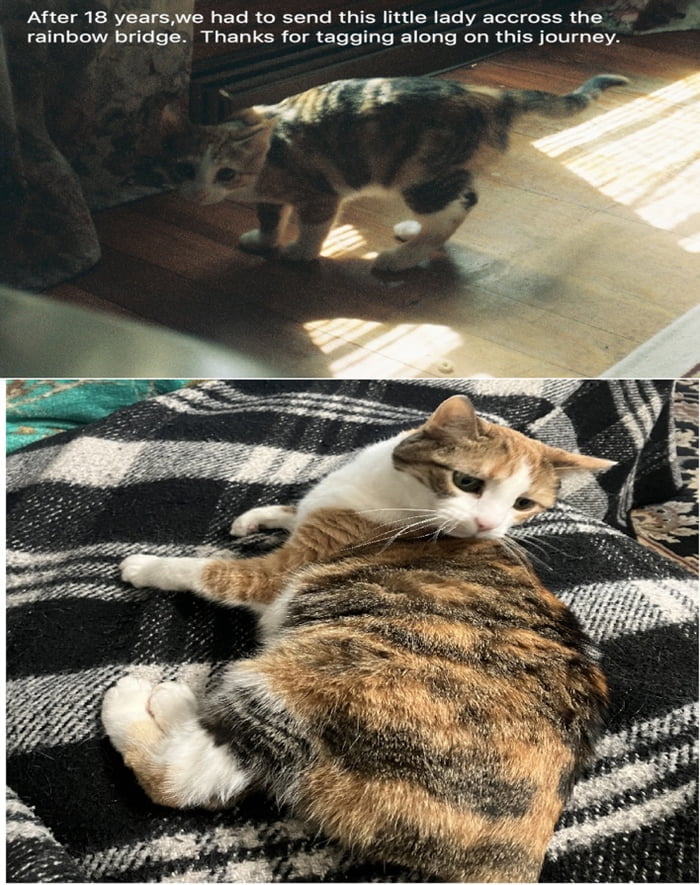 This hit me harder than I thought it would. Sorry for the quality, I’m ...