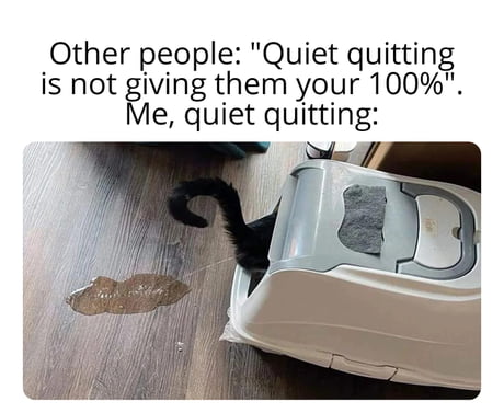 Best Funny Quiet Quitting Memes - 9GAG
