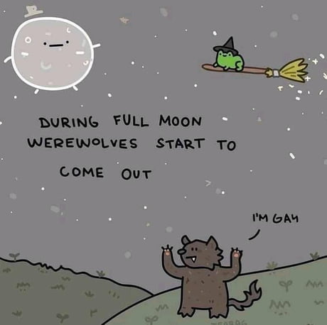 Moon Moon 9gag
