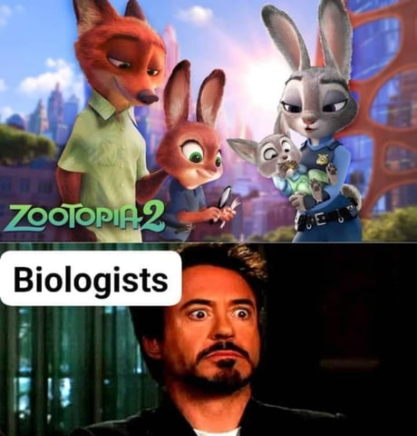 Best Funny zootopia Memes - 9GAG