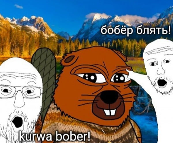 When Slavs see bober - 9GAG