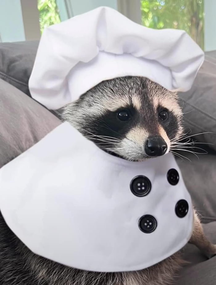 What would you like to order, sir? - 9GAG