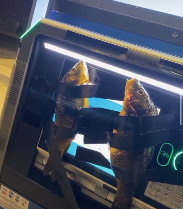Teen Arrested For Allegedly Taping Fish To ATMs - 9GAG