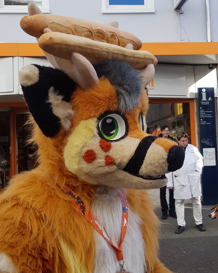 Ich wünsche euch einen schönen Fursuit Freitag und ein tolles WE, mit viel Seks. - 9GAG